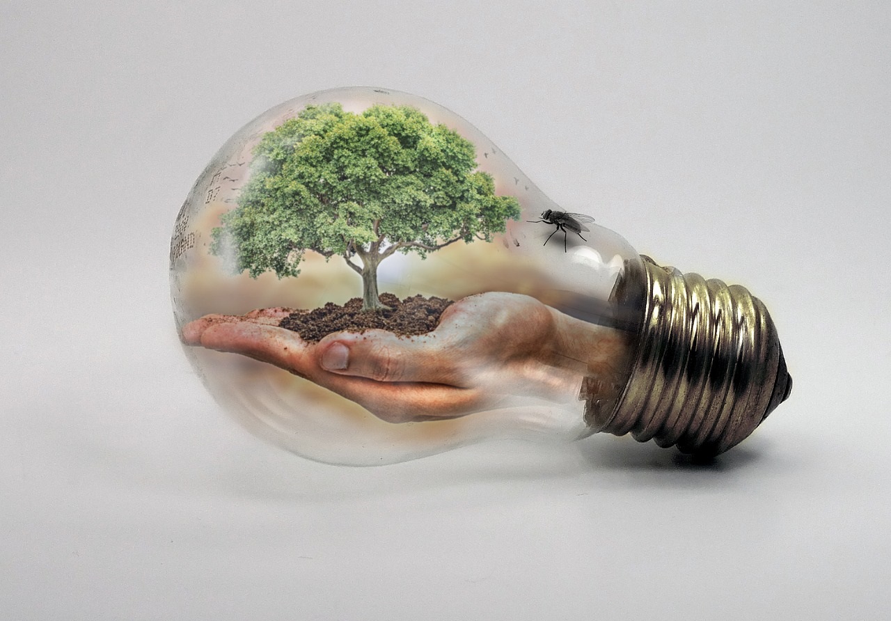 Nature: the forgotten solution to climate change - Friends of Europe