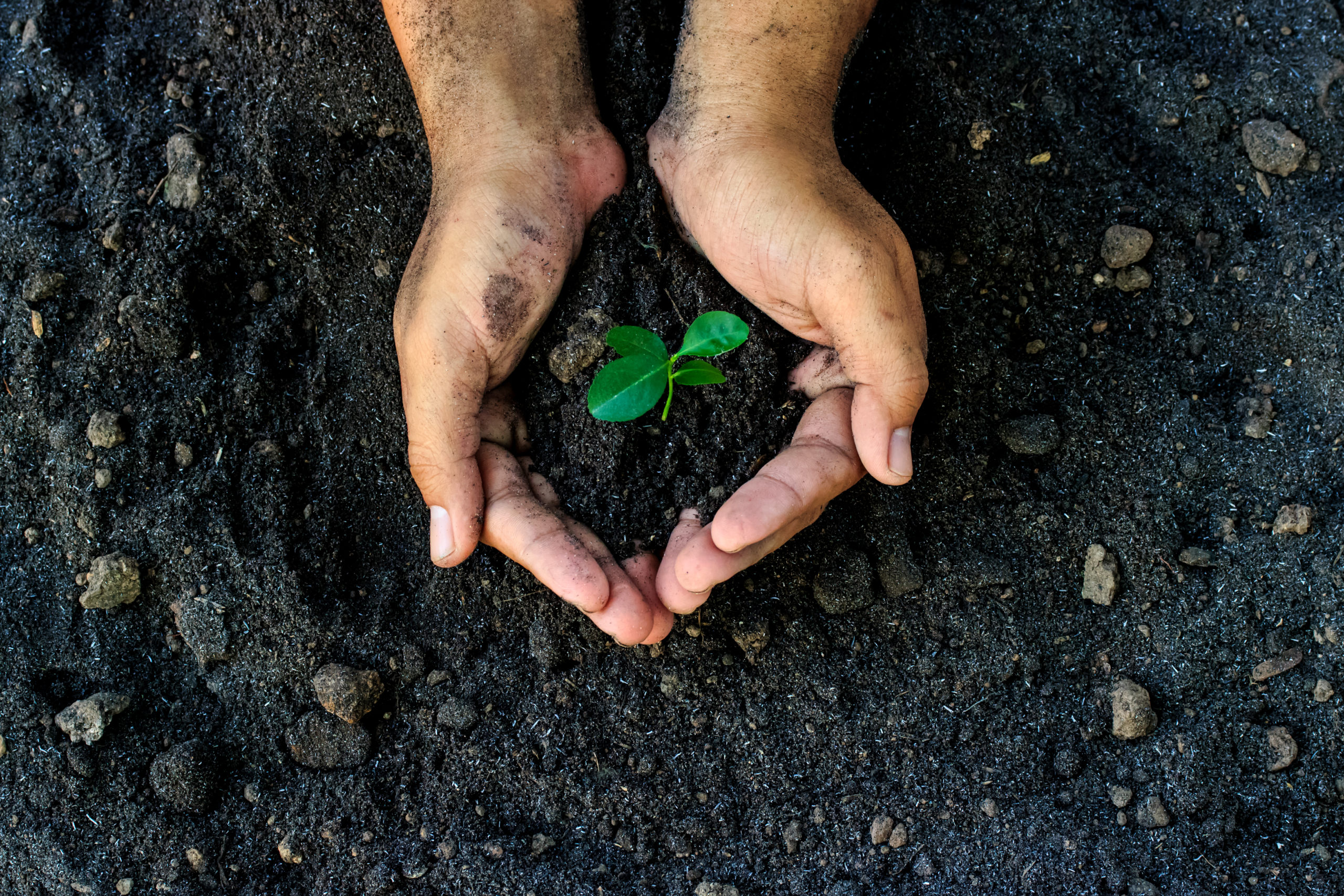 The land of climate action: five things that would be different there - Friends of Europe