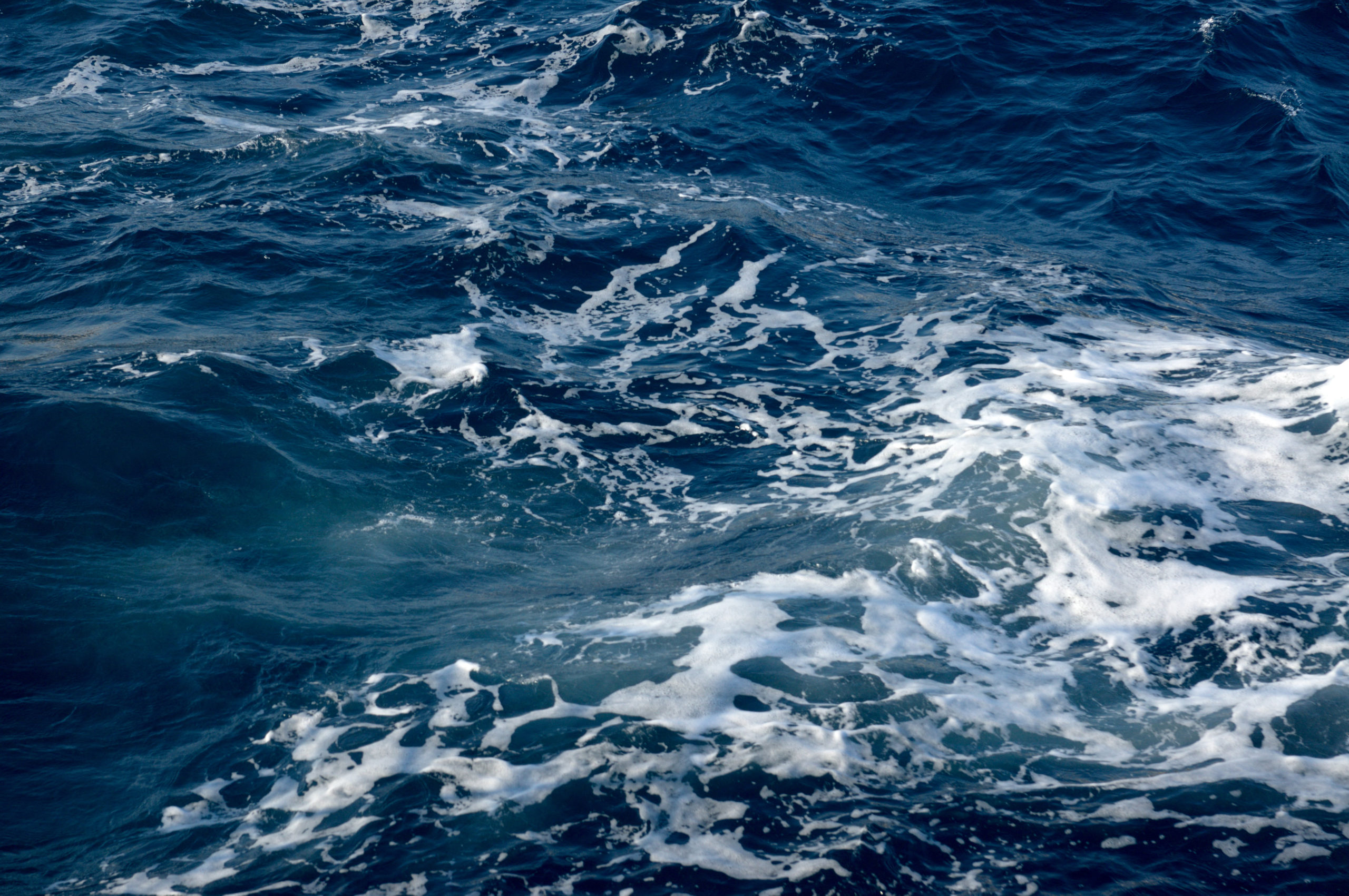 Enhancing climate resilience through marine data science: Blue Partnership between the EU and ...