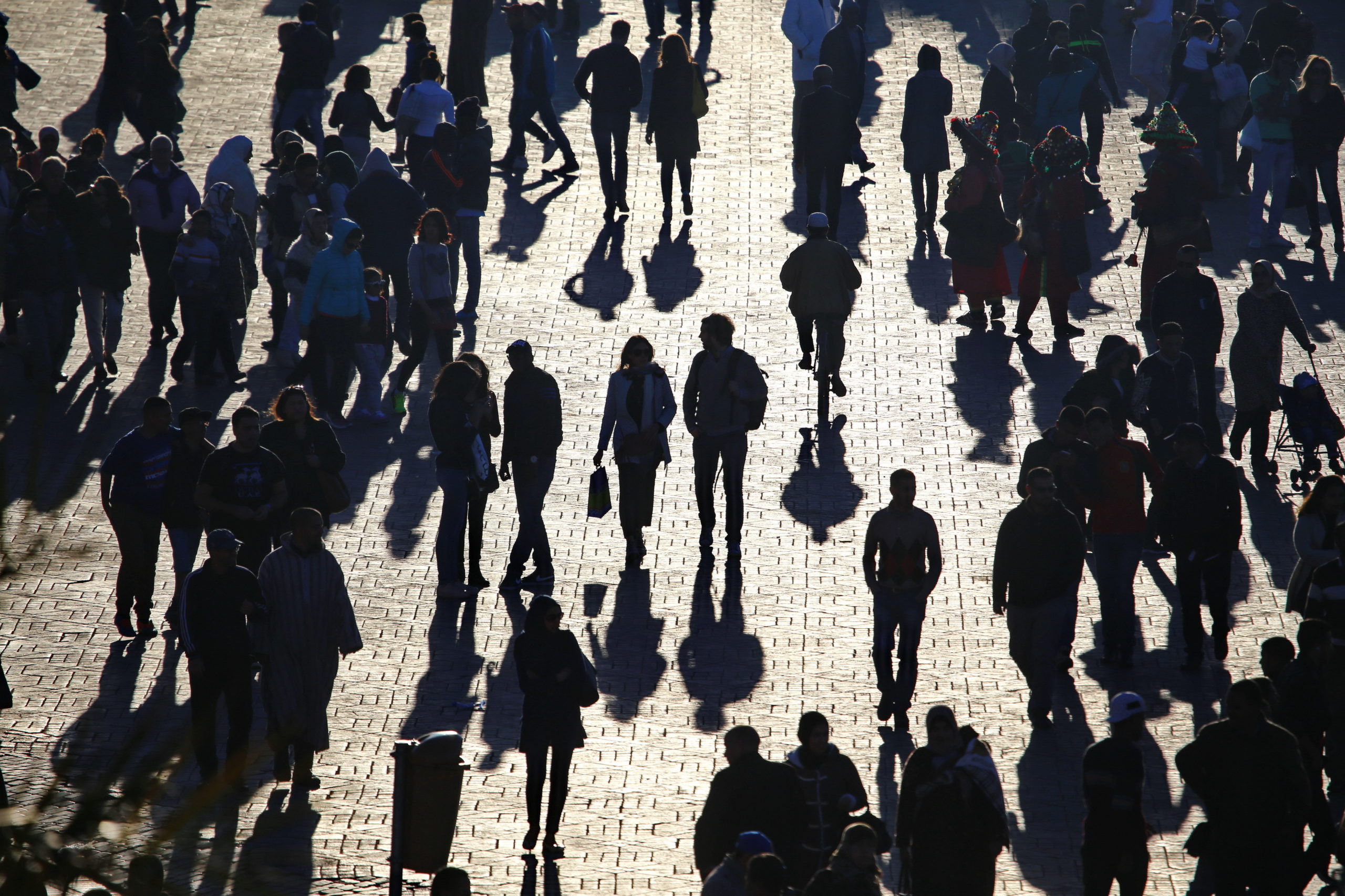 Trust and trustability – how philanthropy can help catalyse a Renewed ...